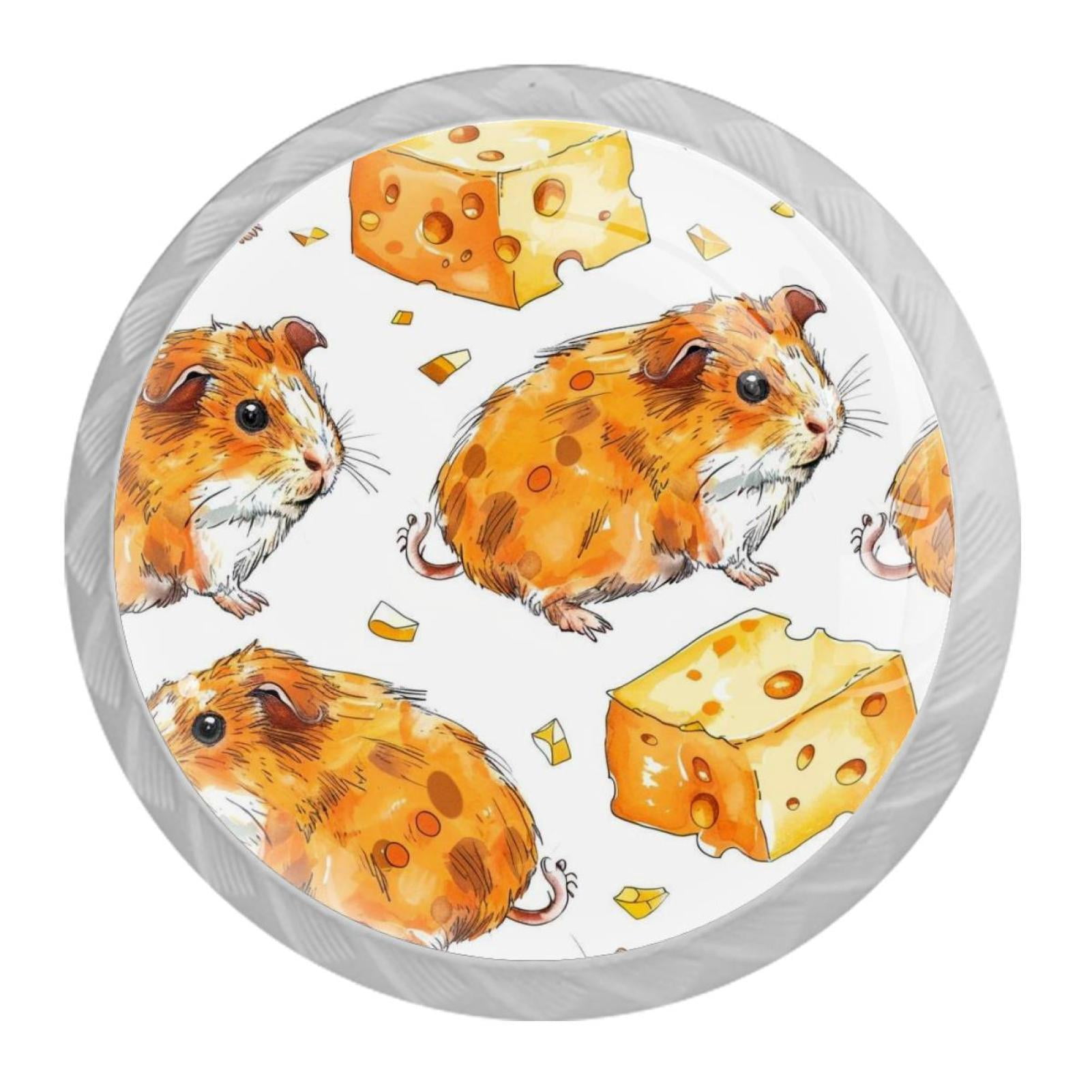 Guinea Pigs Cheese Orange Custom Drawer Knobs - Cabinet Knobs ABS Glass ...