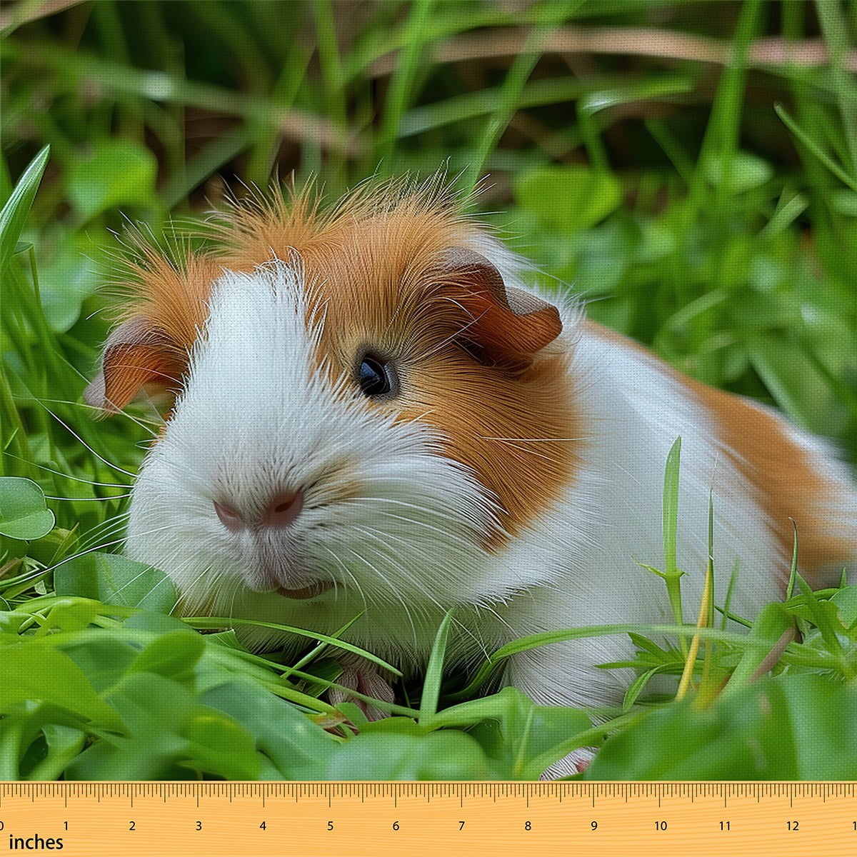 Guinea Pigs Fabric by the Yards for Quilting Sewing,Cute Animals ...