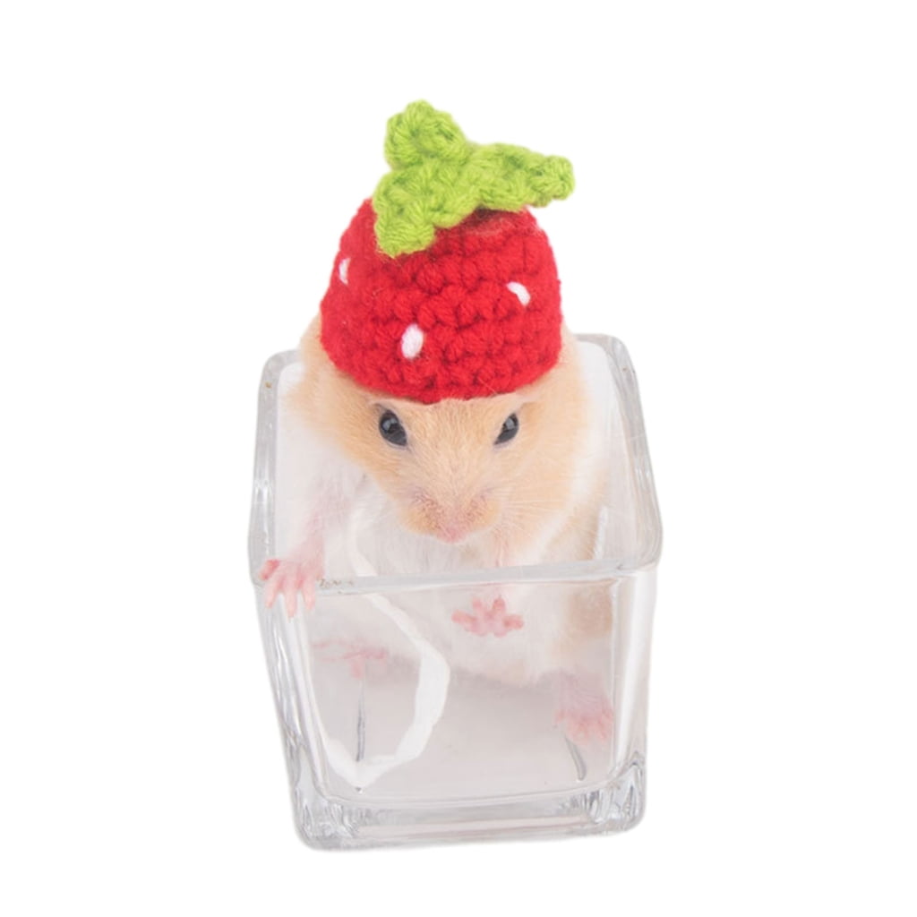 Guinea Pigs Hat Ears HeadWear Costume Princess Theme Handwoven Small ...