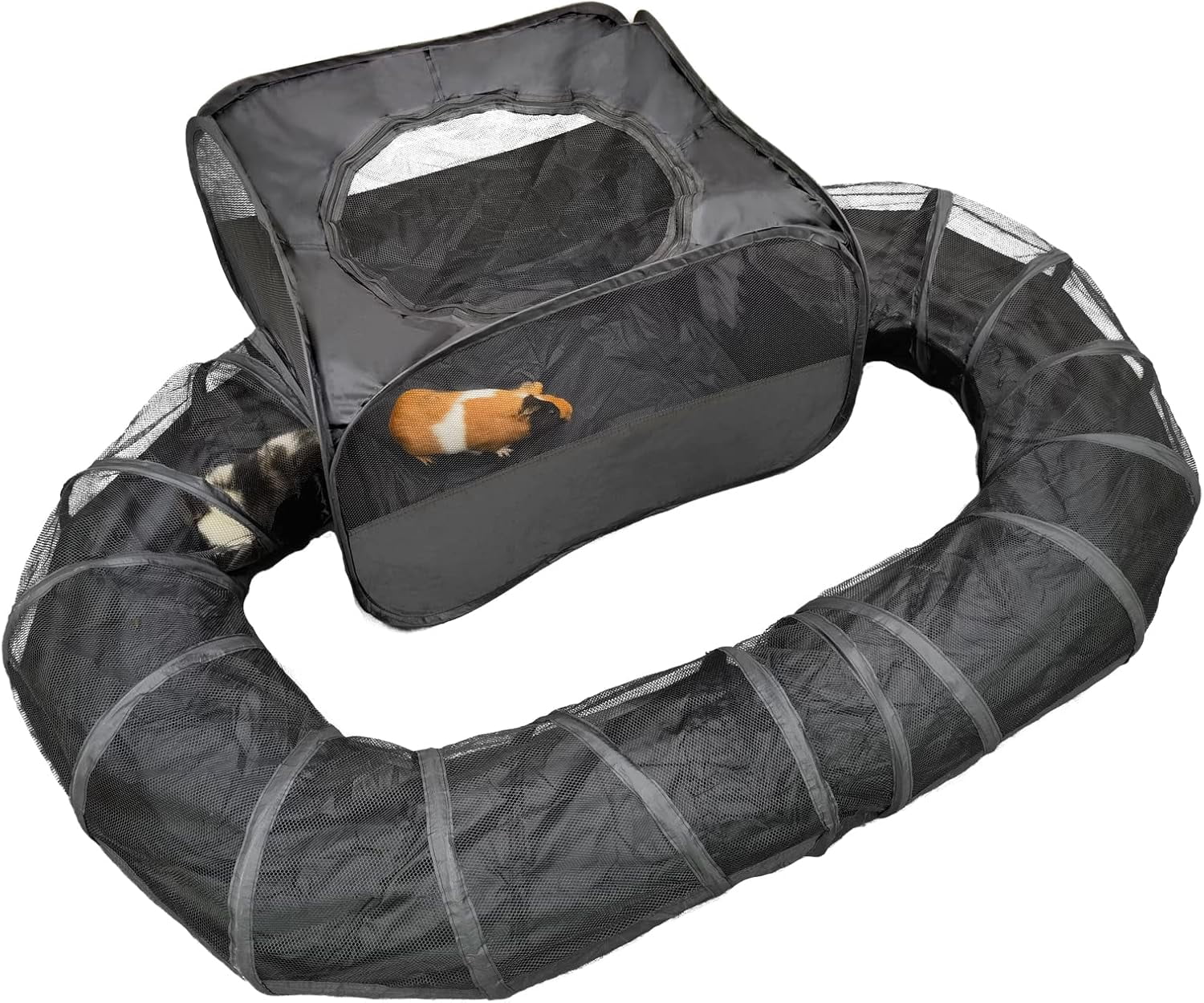Guinea Pigs Playpen with Surround Tunnel,Pop Open Tent with Tube for ...