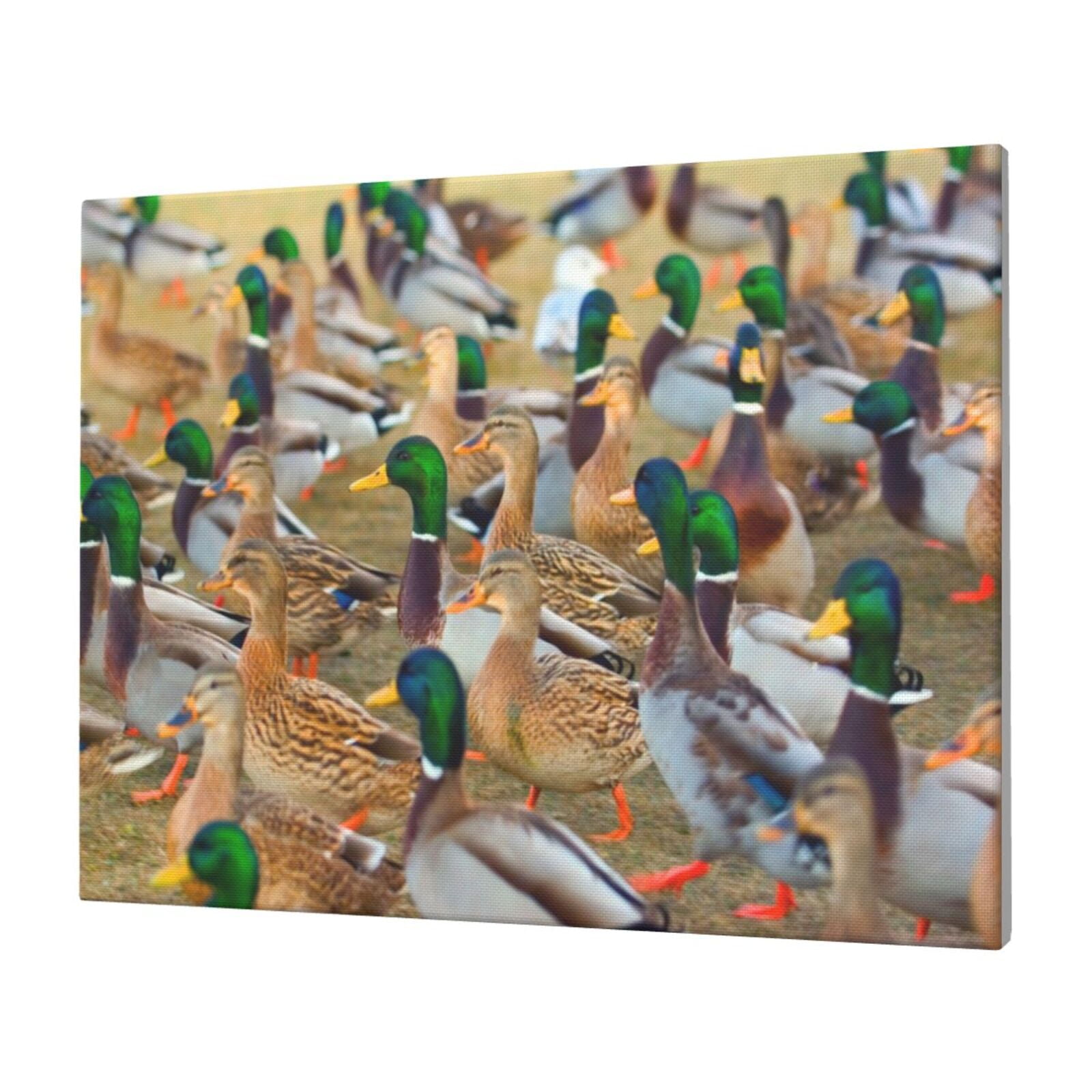 Gukieu Mallard Ducks Print Horizontal Canvas Decorative Painting 12x16 Inch Shrinkage Resistant ...