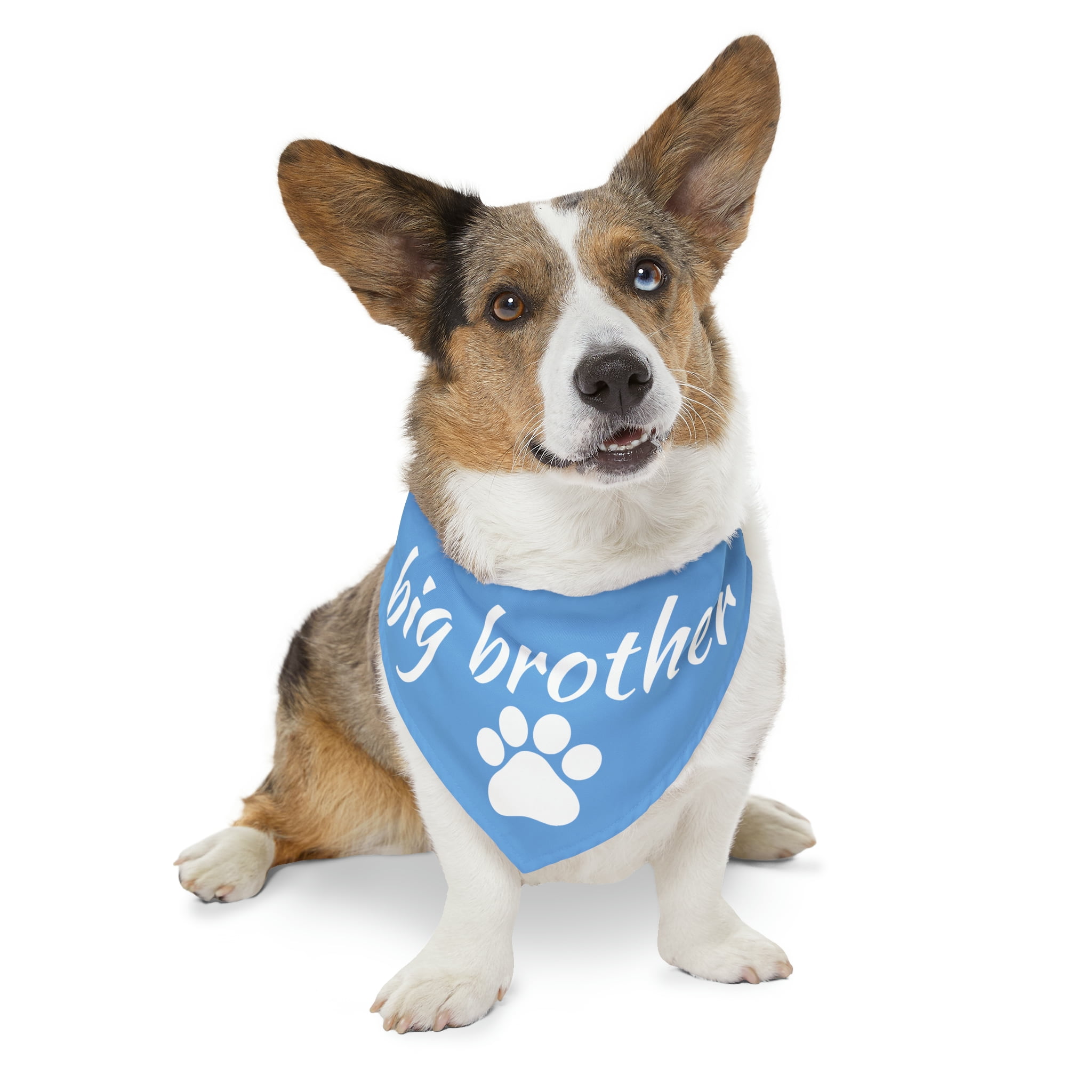Gulf Coast Online Gender Reveal Dog Bandana, Blue Big Brother Pet ...