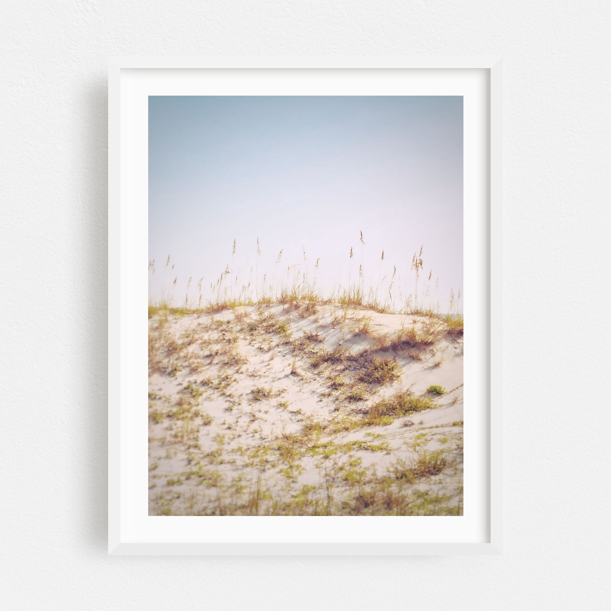 Gulf Shores Dunes - Gulf Shores Alabama Photography Beach Coastal ...