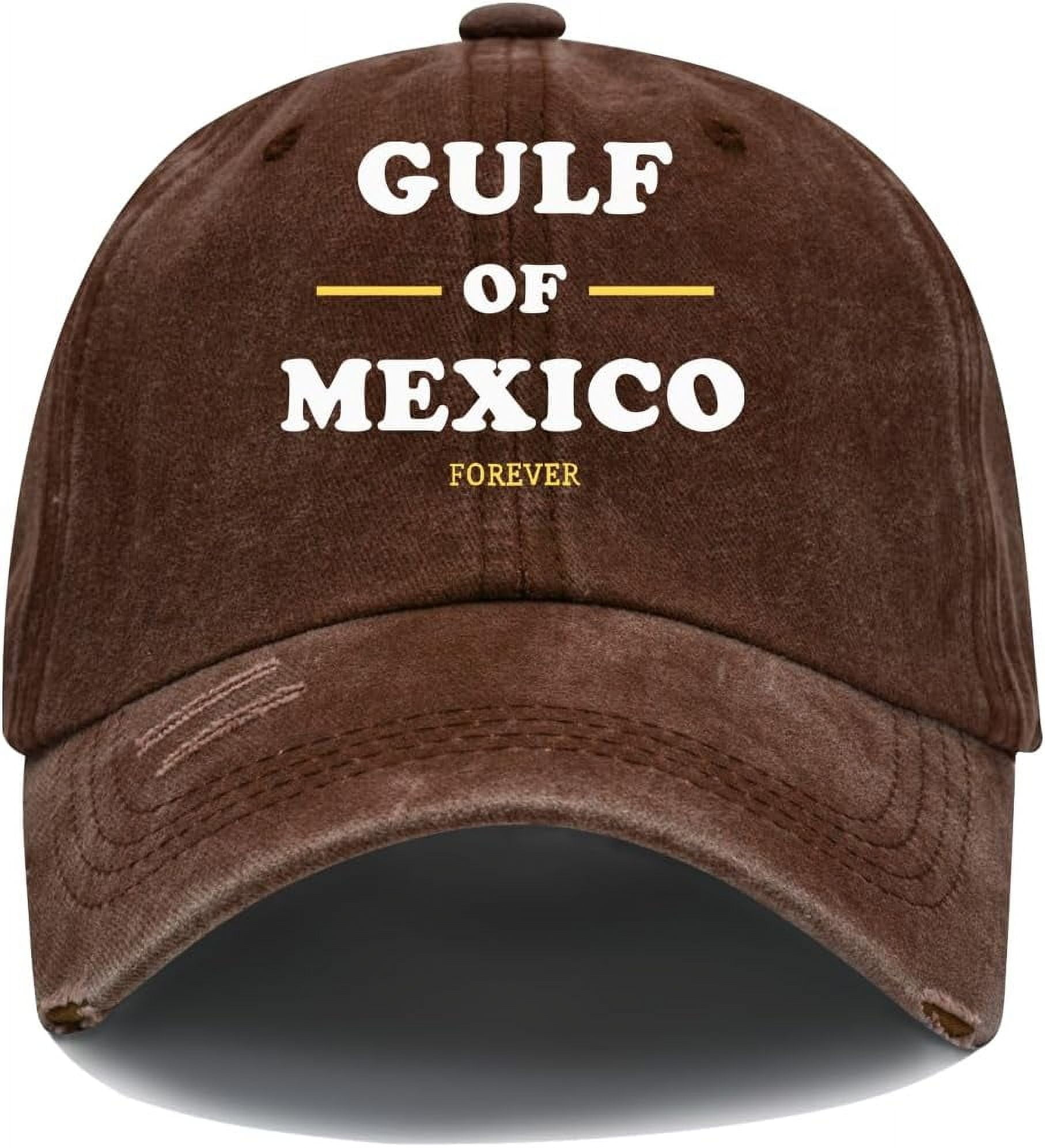 Gulf of Mexico Forever Cap, Beach Coastal Hat, Gulf of Mexico Baseball ...