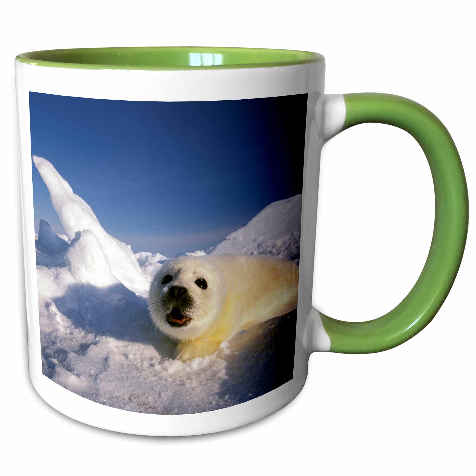 Gulf of St. Lawrence, Harp Seal pup-CN14 GJE0019 - Gavriel Jecan 15oz ...