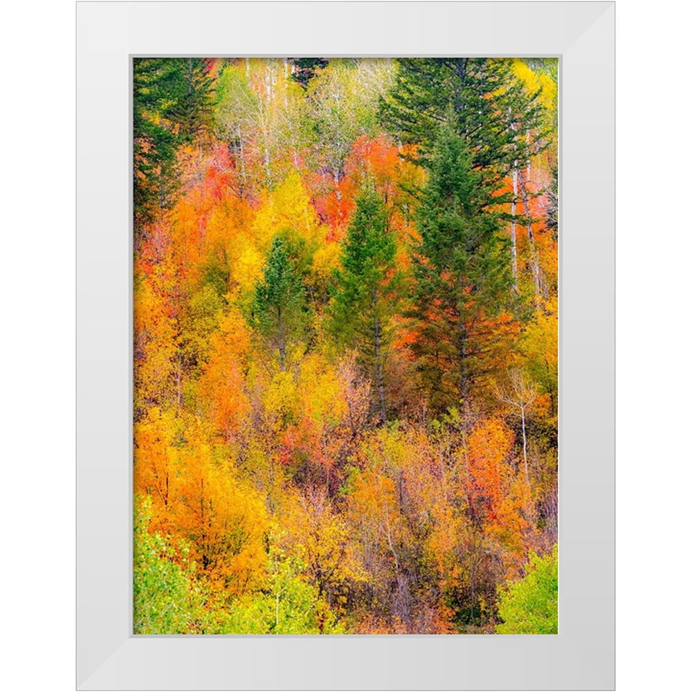 Gulin, Sylvia 11x14 White Modern Wood Framed Museum Art Print Titled ...