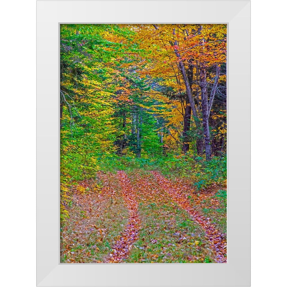 Gulin, Sylvia 11x14 White Modern Wood Framed Museum Art Print Titled ...