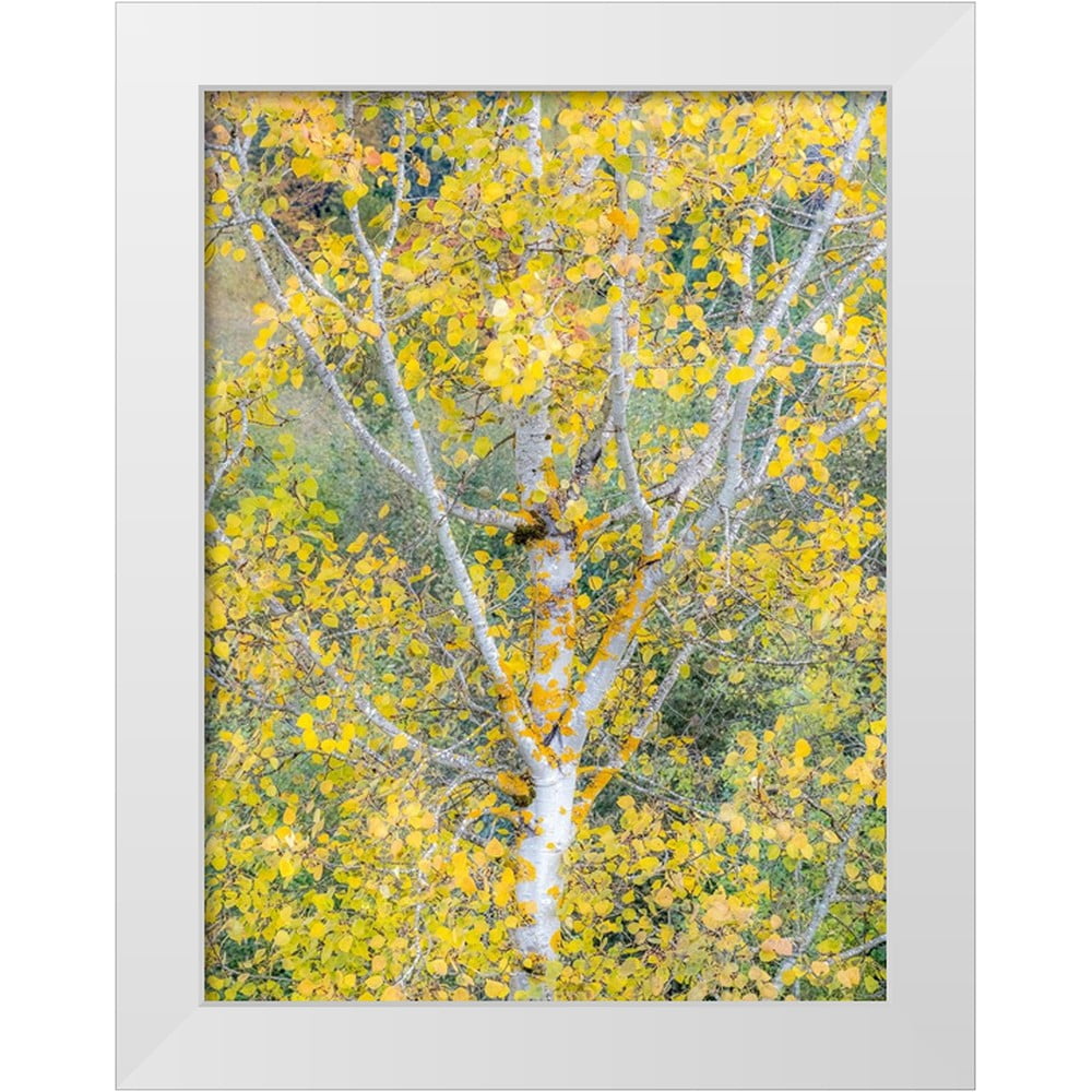 Gulin, Sylvia 12x14 White Modern Wood Framed Museum Art Print Titled ...