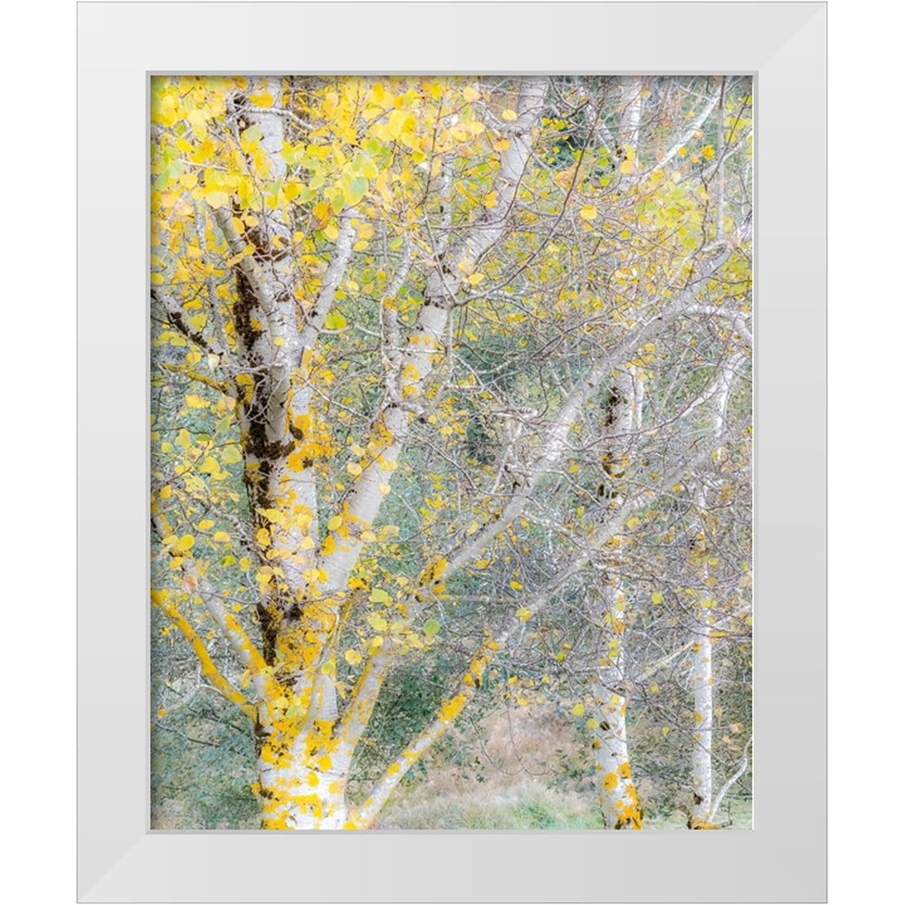 Gulin, Sylvia 12x14 White Modern Wood Framed Museum Art Print Titled ...