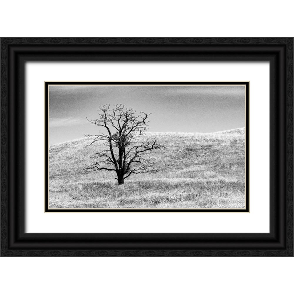 Gulin, Sylvia 14x10 Black Ornate Wood Framed with Double Matting Museum ...