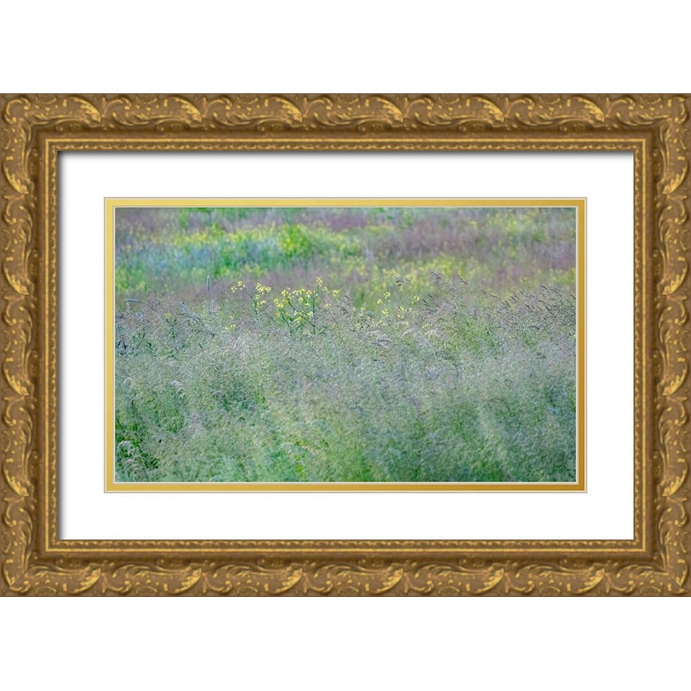 Gulin, Sylvia 14x10 Gold Ornate Wood Framed with Double Matting Museum ...