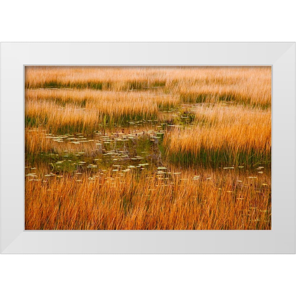 Gulin, Sylvia 14x11 White Modern Wood Framed Museum Art Print Titled ...