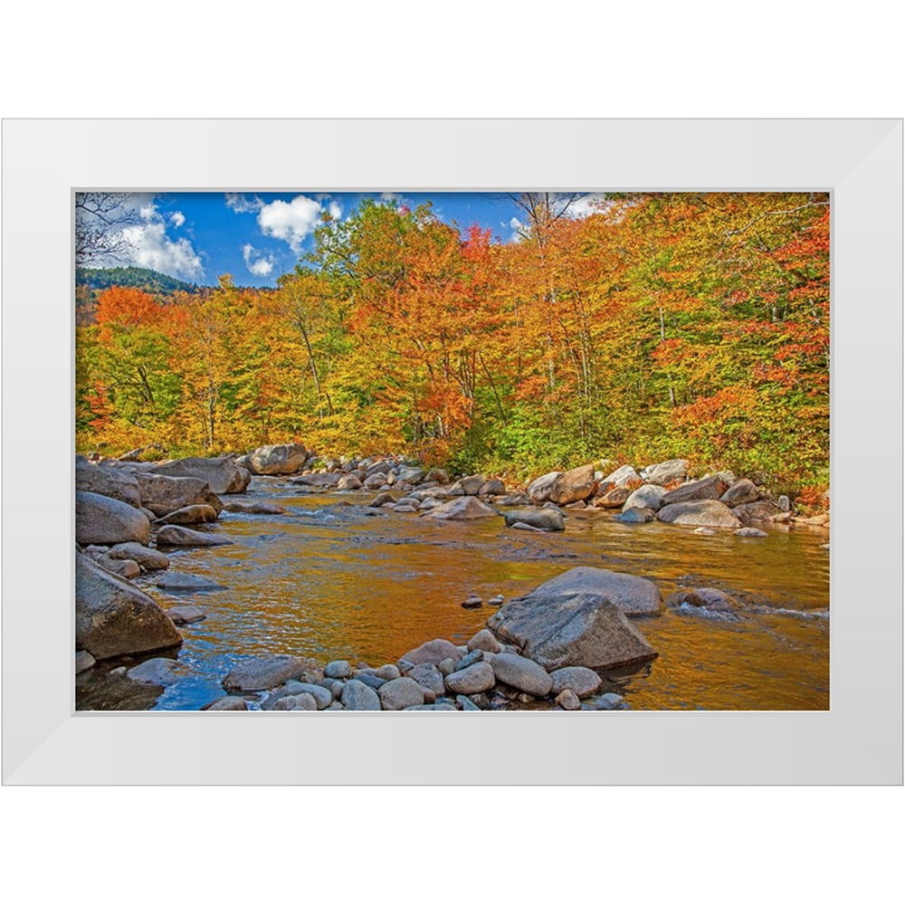 Gulin, Sylvia 14x11 White Modern Wood Framed Museum Art Print Titled ...