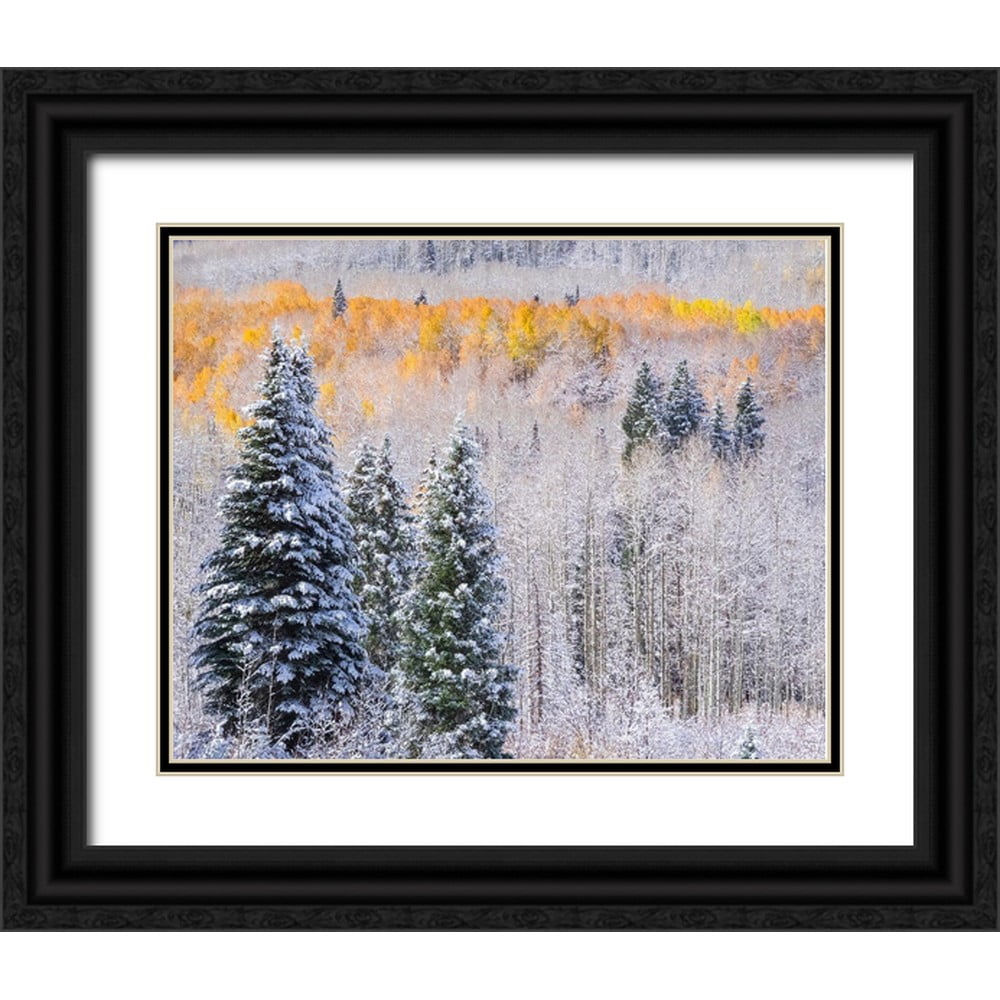 Gulin, Sylvia 14x12 Black Ornate Wood Framed with Double Matting Museum ...
