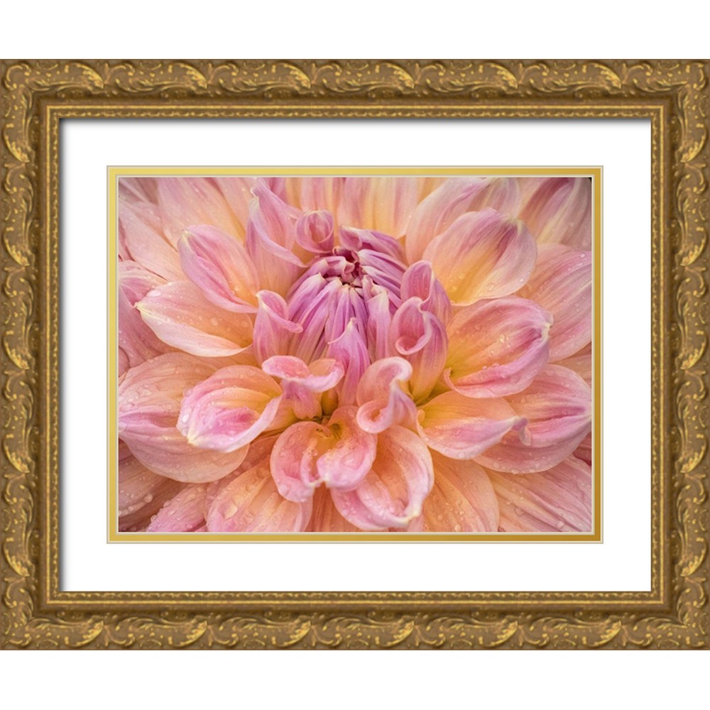 Gulin, Sylvia 14x12 Gold Ornate Wood Framed with Double Matting Museum ...
