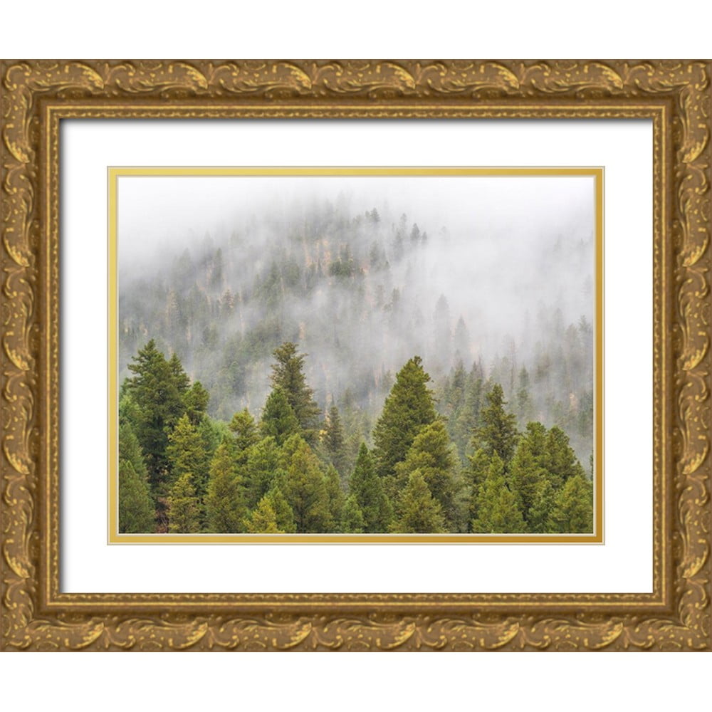 Gulin, Sylvia 14x12 Gold Ornate Wood Framed with Double Matting Museum ...