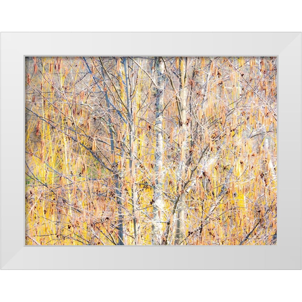Gulin, Sylvia 14x12 White Modern Wood Framed Museum Art Print Titled ...