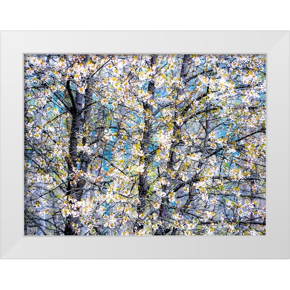 Gulin, Sylvia 14x12 White Modern Wood Framed Museum Art Print Titled ...