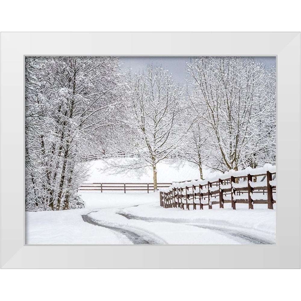 Gulin, Sylvia 14x12 White Modern Wood Framed Museum Art Print Titled ...