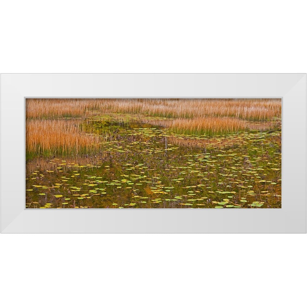 Gulin, Sylvia 14x8 White Modern Wood Framed Museum Art Print Titled ...