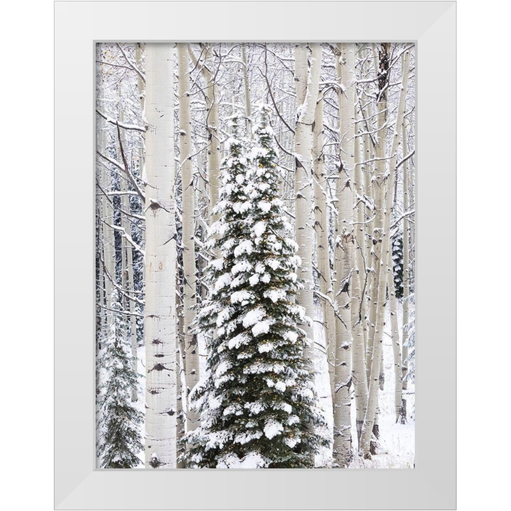 Gulin, Sylvia 15x18 White Modern Wood Framed Museum Art Print Titled ...