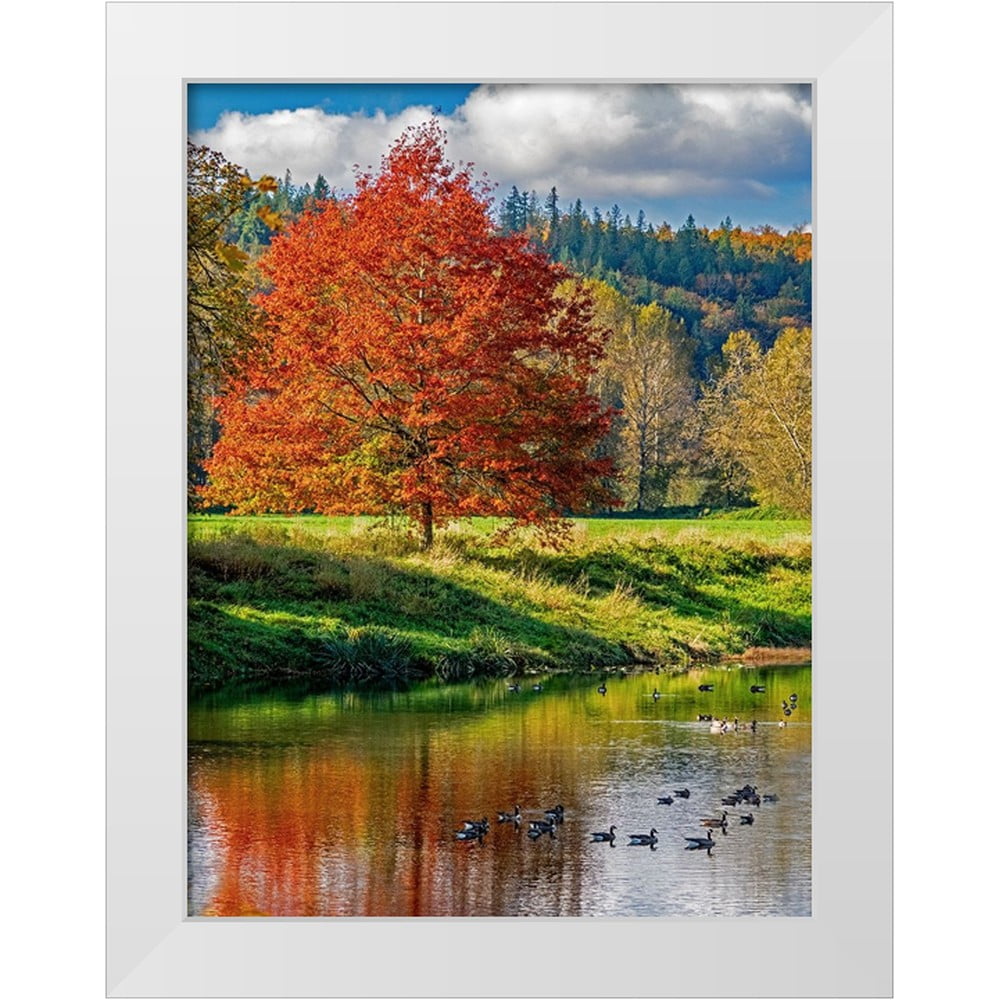 Gulin, Sylvia 15x18 White Modern Wood Framed Museum Art Print Titled ...