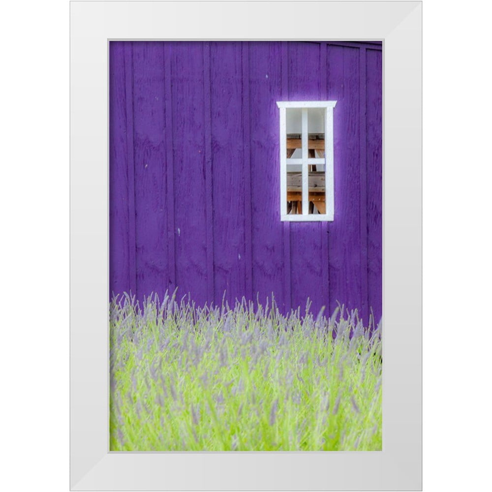 Gulin, Sylvia 17x24 White Modern Wood Framed Museum Art Print Titled ...