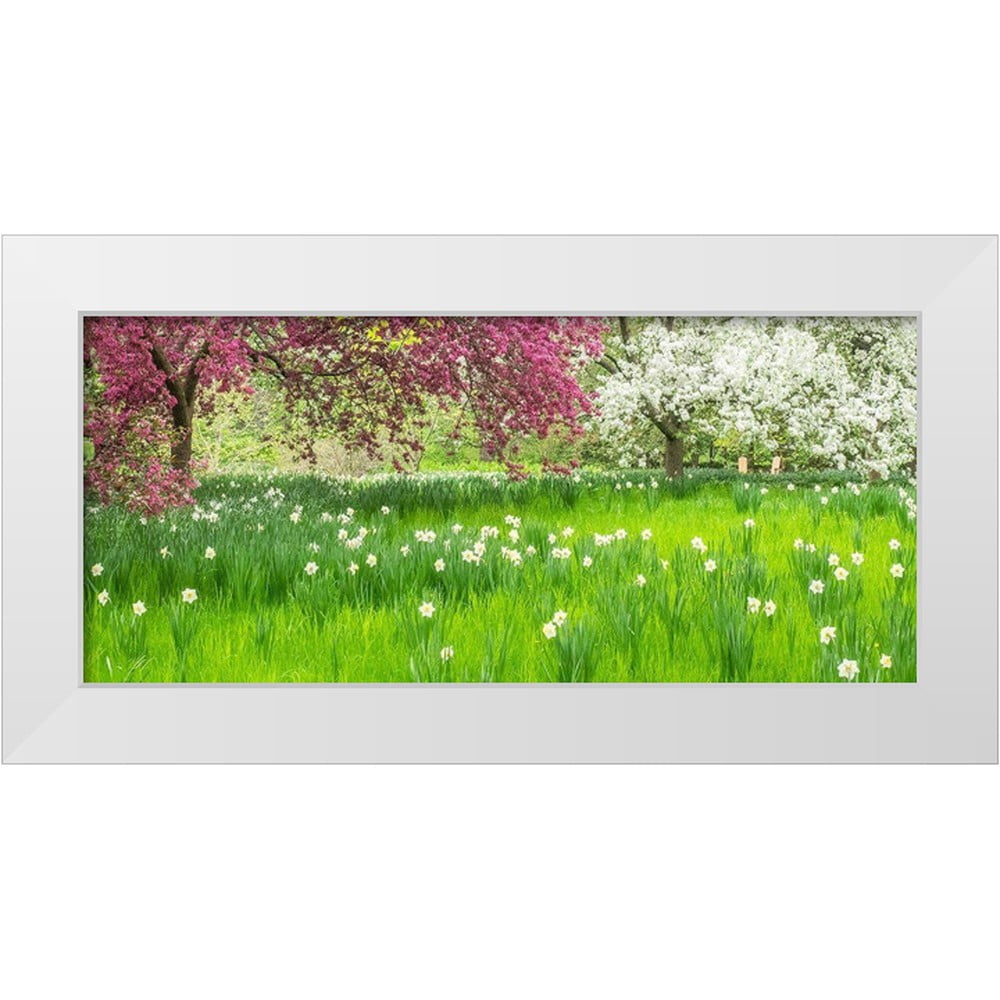 Gulin, Sylvia 18x10 White Modern Wood Framed Museum Art Print Titled ...