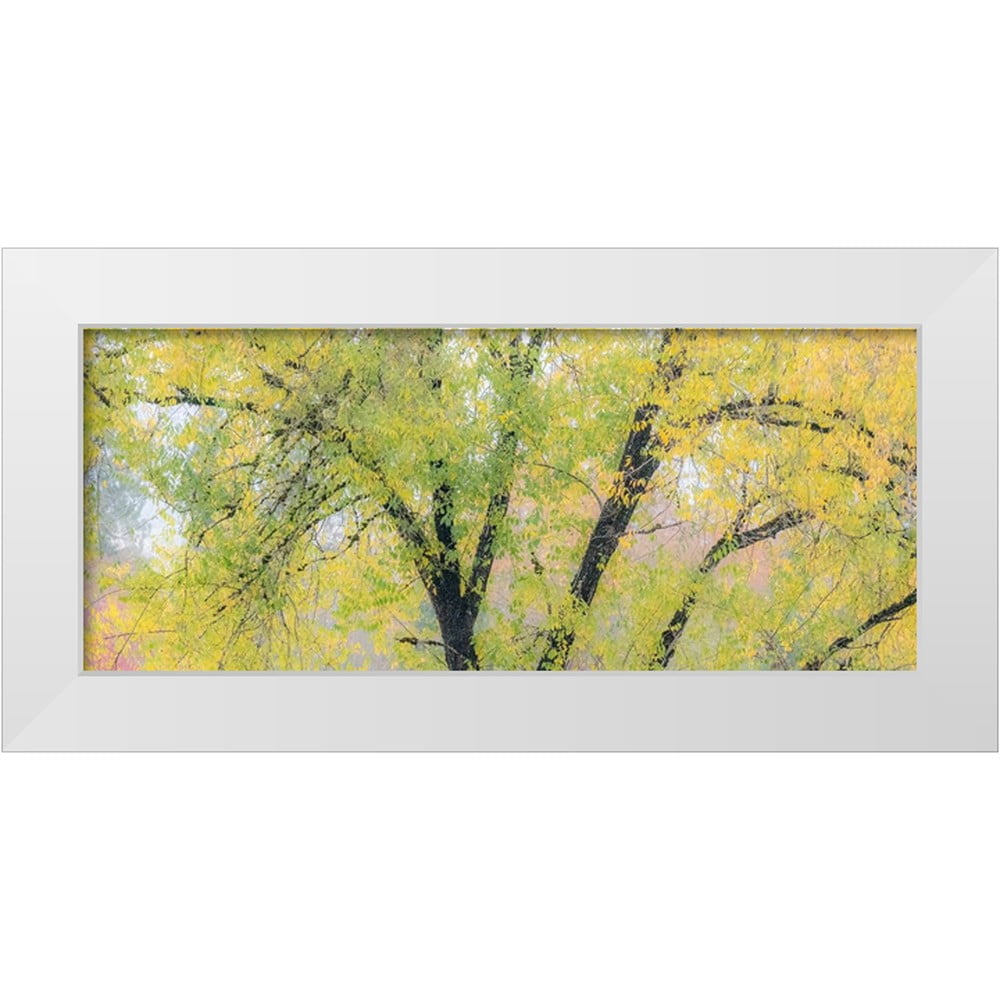 Gulin, Sylvia 18x10 White Modern Wood Framed Museum Art Print Titled ...