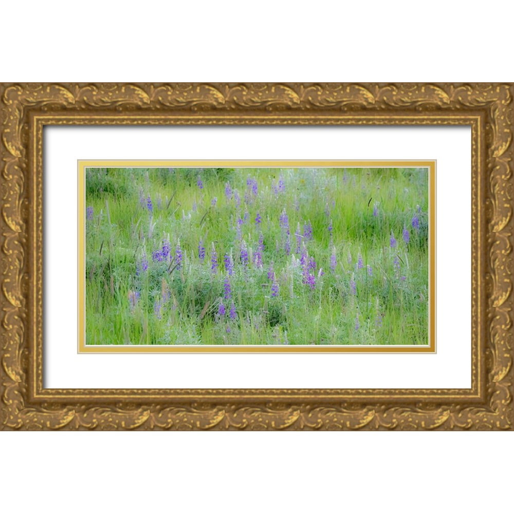 Gulin, Sylvia 18x11 Gold Ornate Wood Framed with Double Matting Museum ...