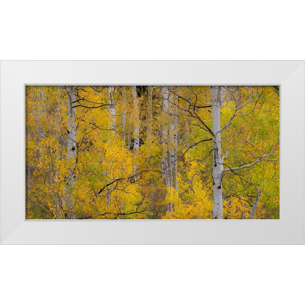 Gulin, Sylvia 18x11 White Modern Wood Framed Museum Art Print Titled ...