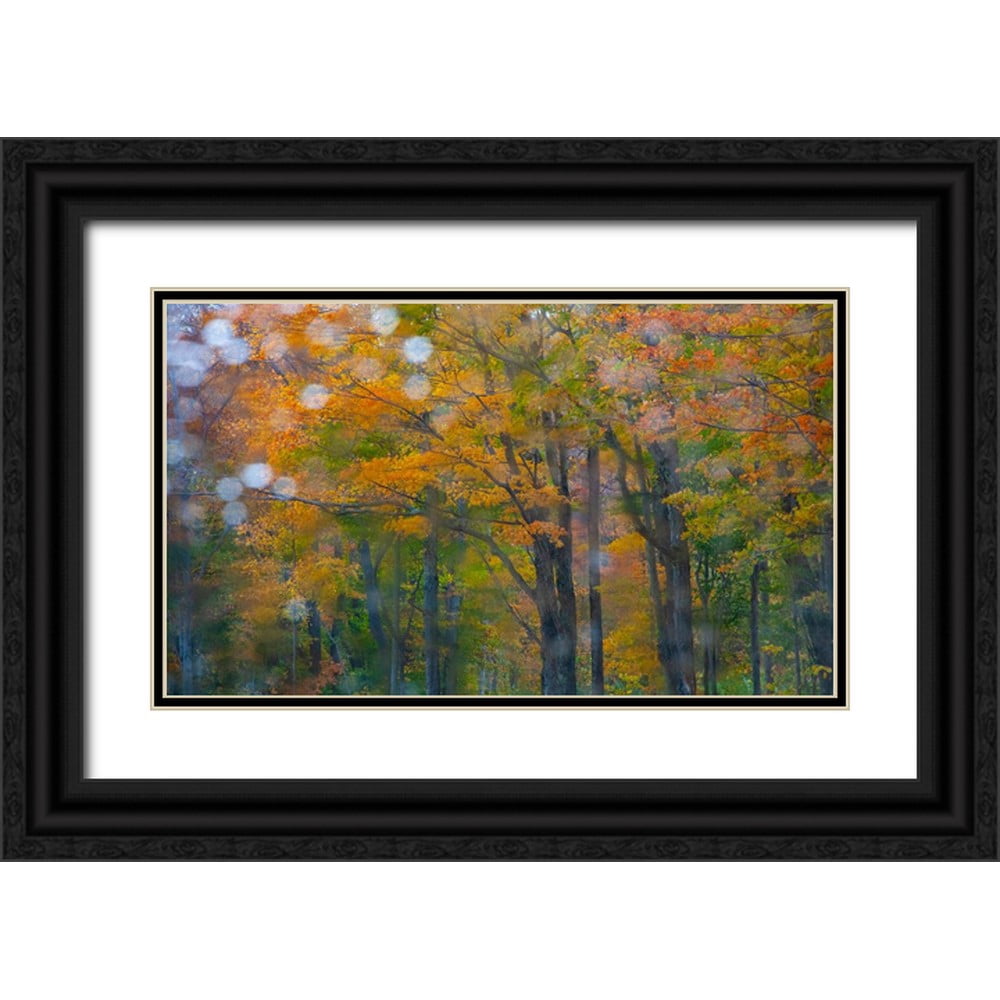 Gulin, Sylvia 18x12 Black Ornate Wood Framed with Double Matting Museum ...