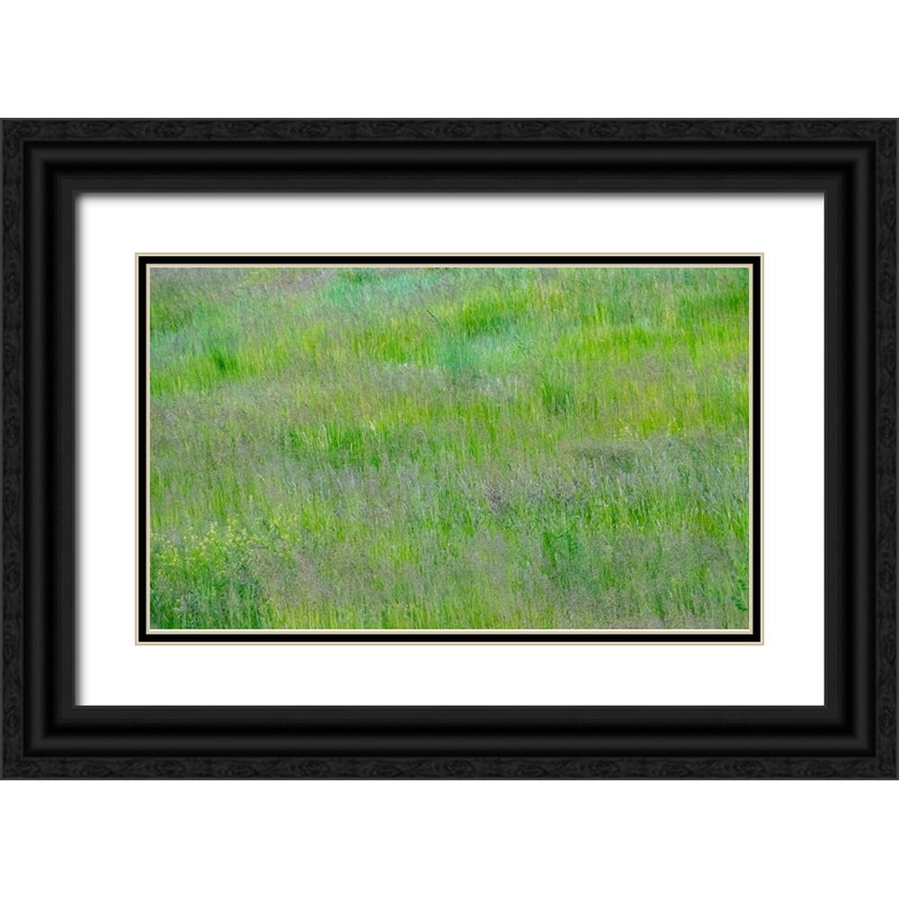 Gulin, Sylvia 18x12 Black Ornate Wood Framed with Double Matting Museum ...