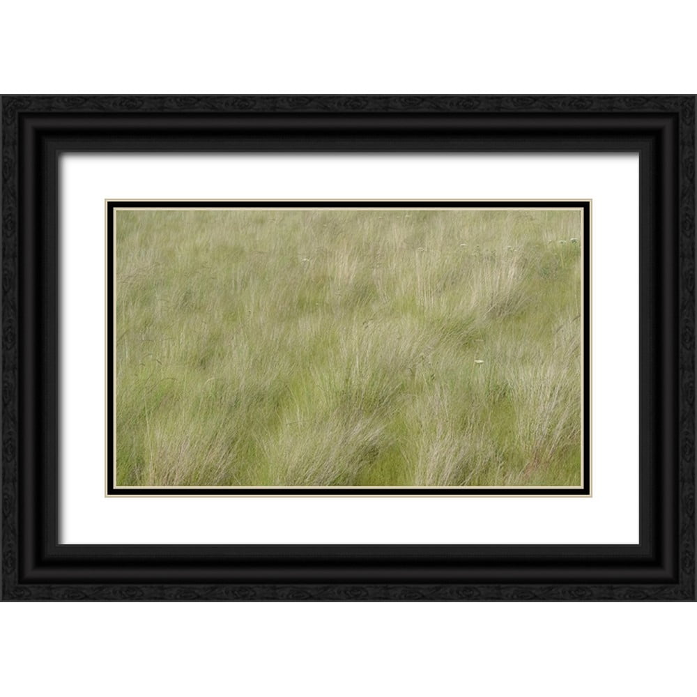 Gulin, Sylvia 18x12 Black Ornate Wood Framed with Double Matting Museum Art Print Titled - USA ...