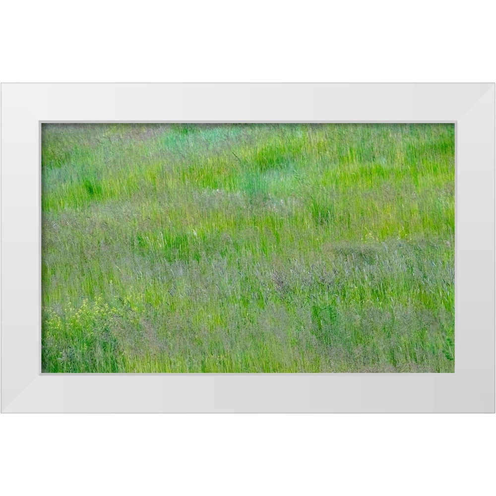 Gulin, Sylvia 18x12 White Modern Wood Framed Museum Art Print Titled ...