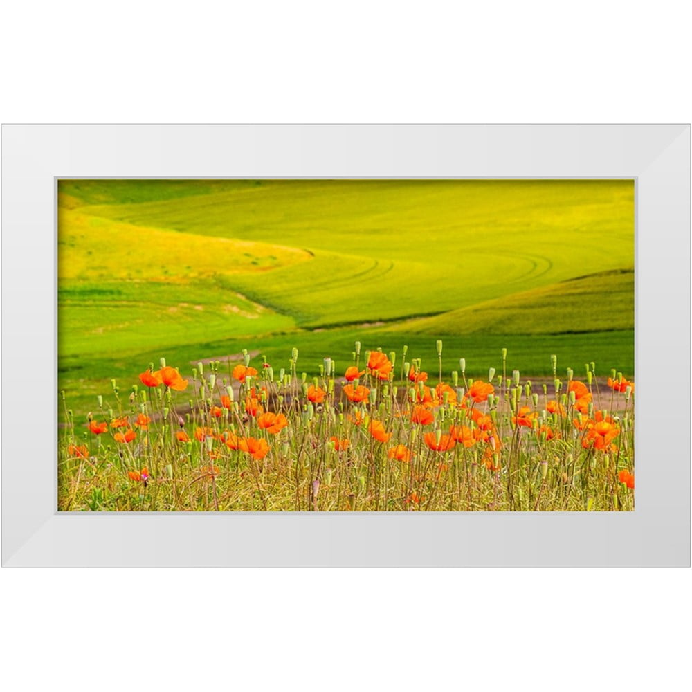 Gulin, Sylvia 18x12 White Modern Wood Framed Museum Art Print Titled ...
