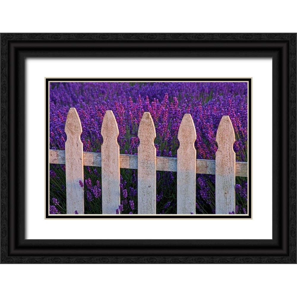 Gulin, Sylvia 18x13 Black Ornate Wood Framed with Double Matting Museum ...