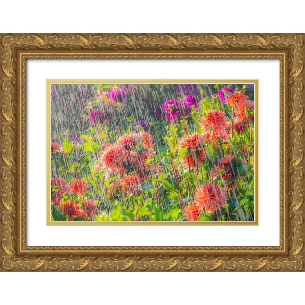 Gulin, Sylvia 18x13 Gold Ornate Wood Framed with Double Matting Museum ...