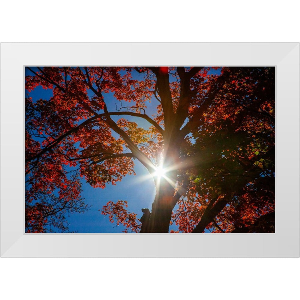 Gulin, Sylvia 18x13 White Modern Wood Framed Museum Art Print Titled - USA-New England-Vermont ...