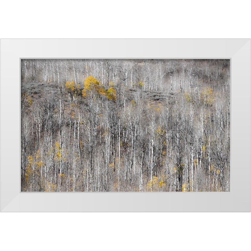 Gulin, Sylvia 18x13 White Modern Wood Framed Museum Art Print Titled ...