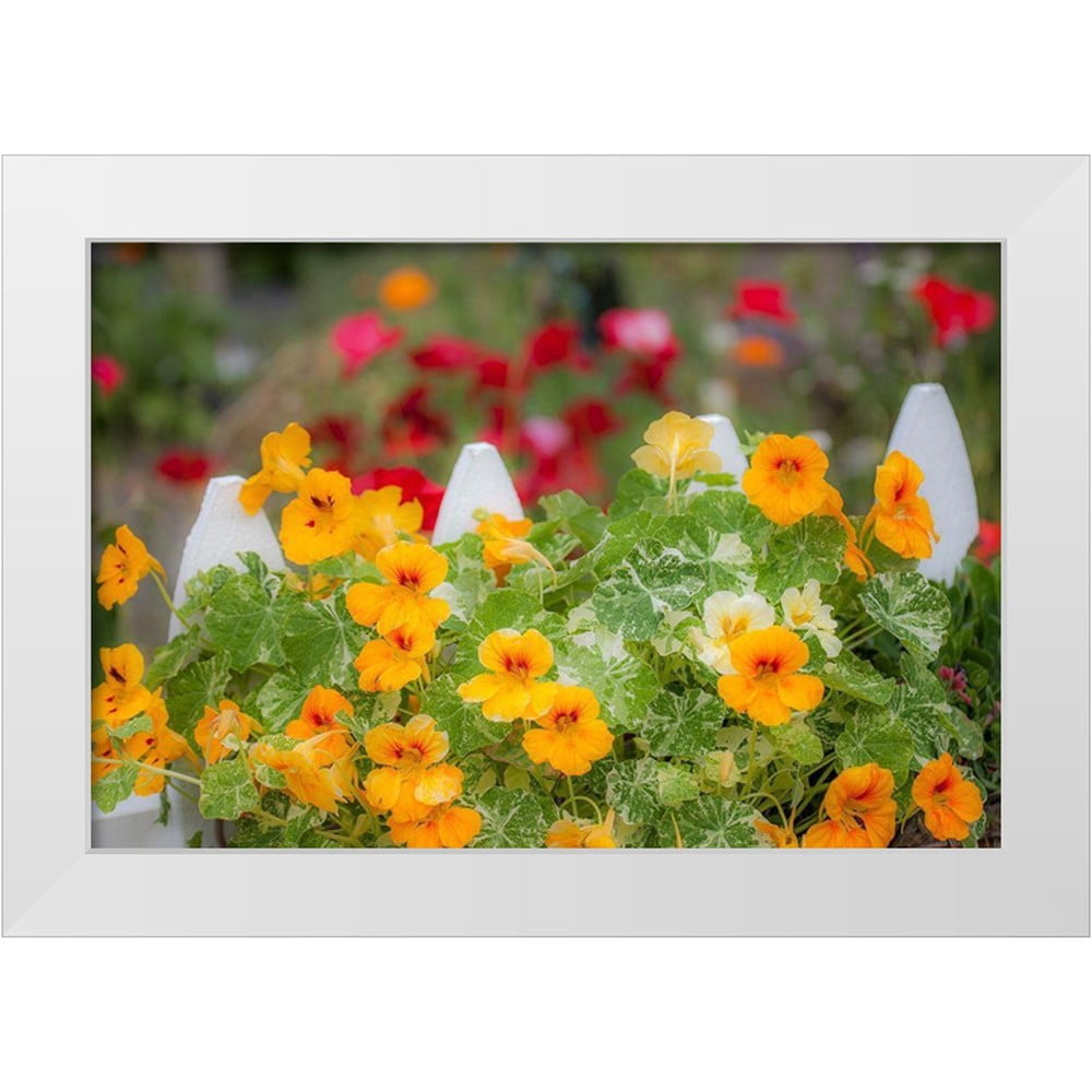 Gulin, Sylvia 18x13 White Modern Wood Framed Museum Art Print Titled ...