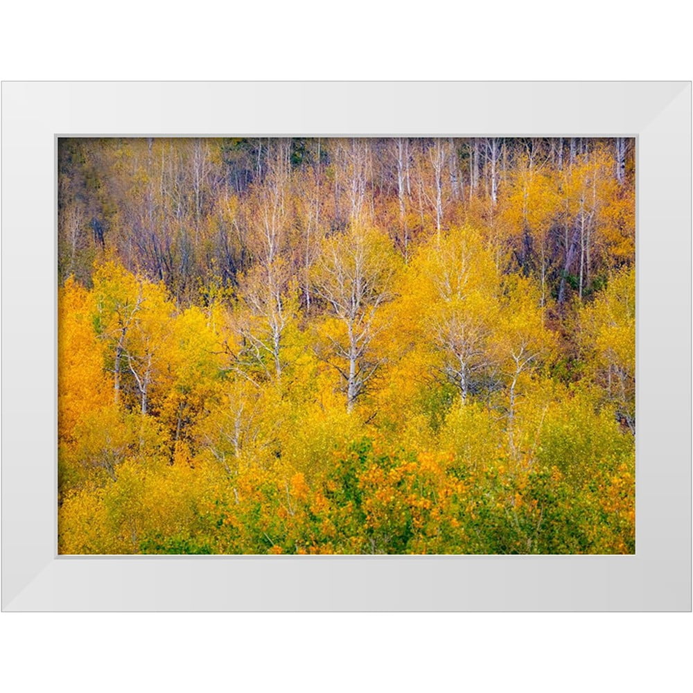 Gulin, Sylvia 18x14 White Modern Wood Framed Museum Art Print Titled ...