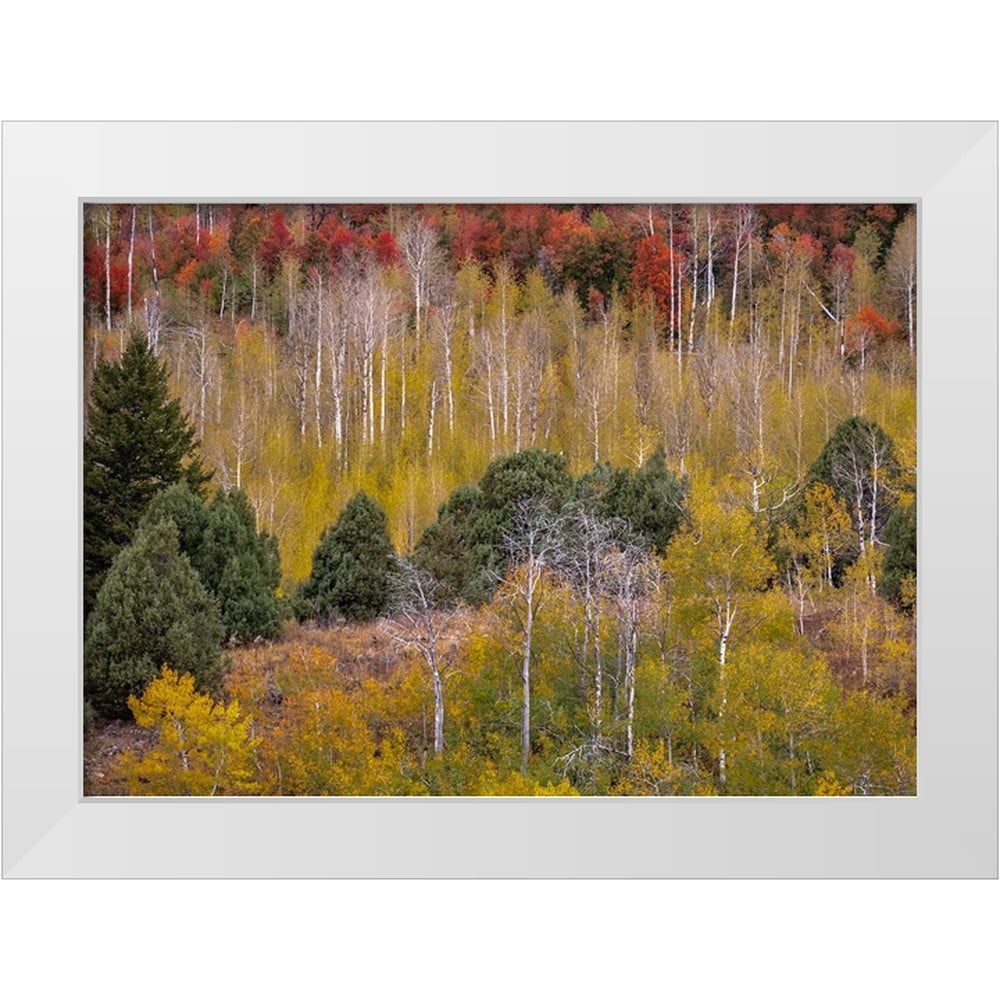 Gulin, Sylvia 18x14 White Modern Wood Framed Museum Art Print Titled ...