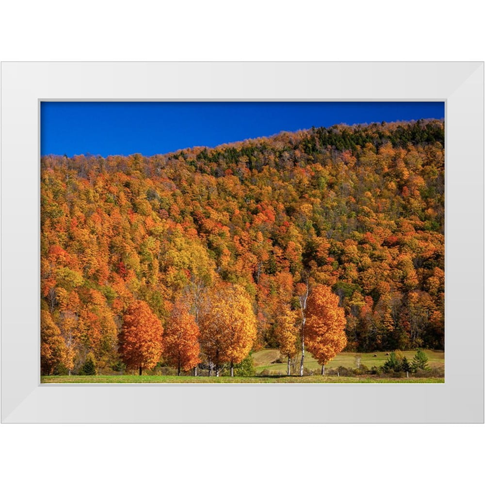 Gulin, Sylvia 18x14 White Modern Wood Framed Museum Art Print Titled - USA-New England-Vermont ...