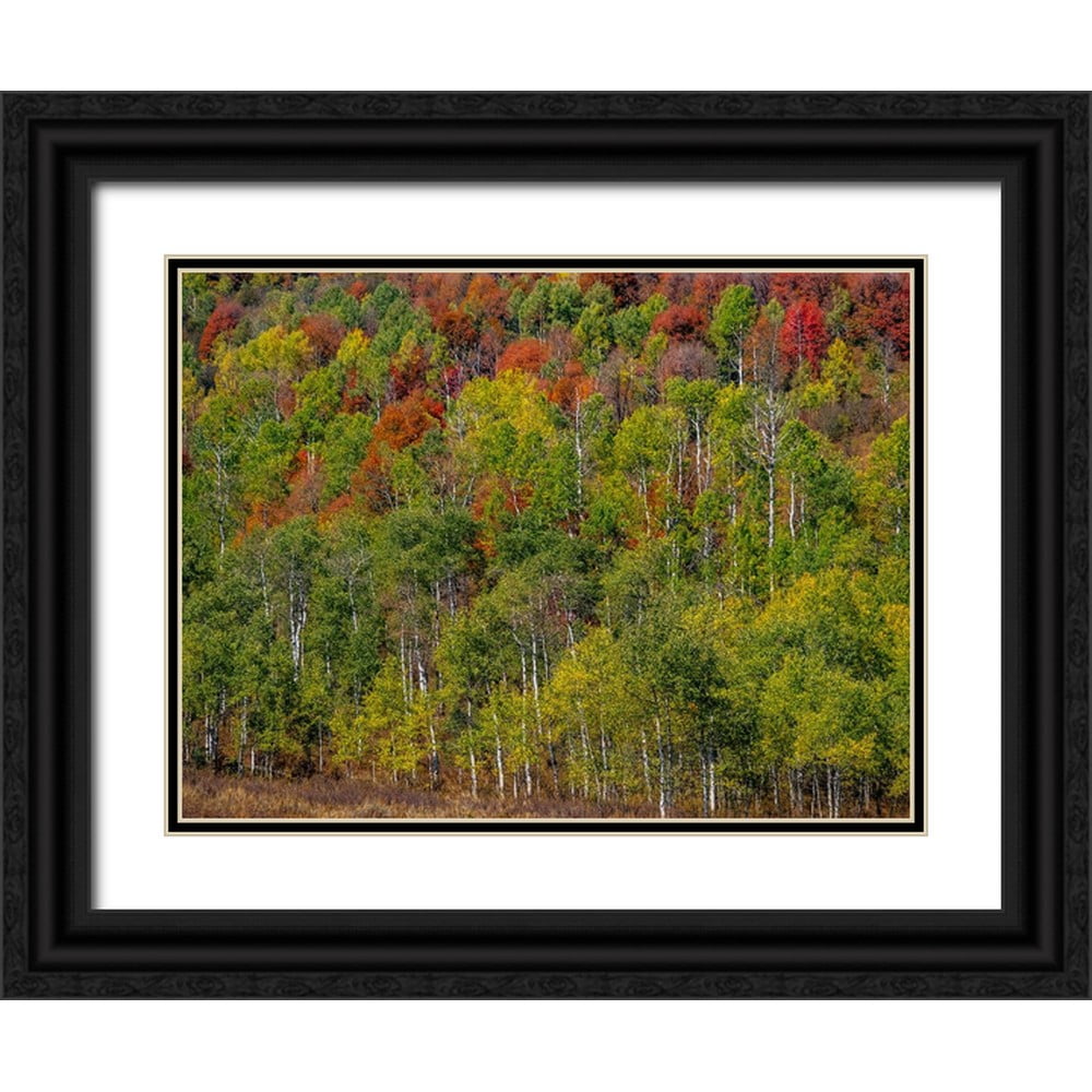 Gulin, Sylvia 18x15 Black Ornate Wood Framed with Double Matting Museum ...