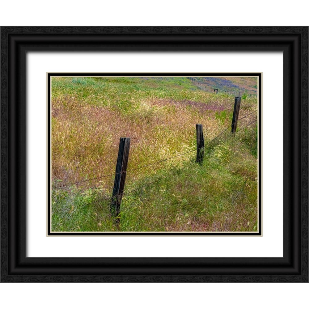 Gulin, Sylvia 18x15 Black Ornate Wood Framed with Double Matting Museum Art Print Titled - USA ...
