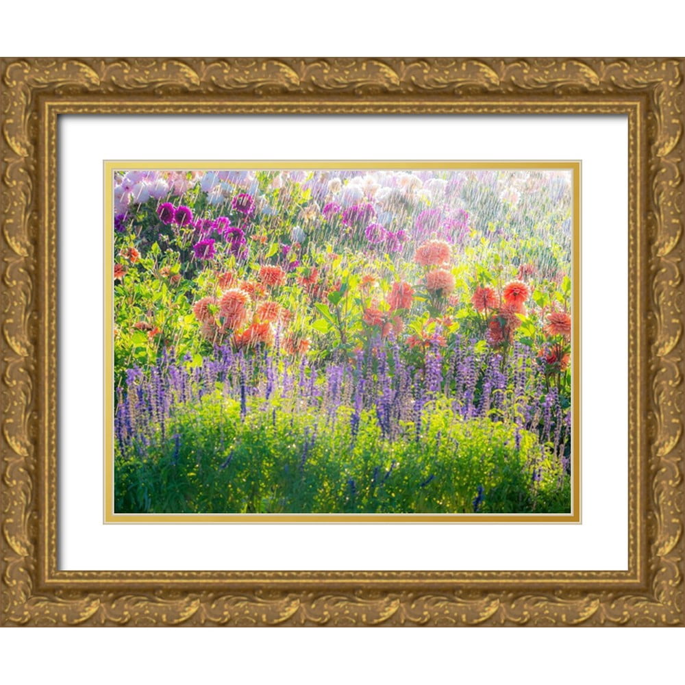 Gulin, Sylvia 18x15 Gold Ornate Wood Framed with Double Matting Museum ...