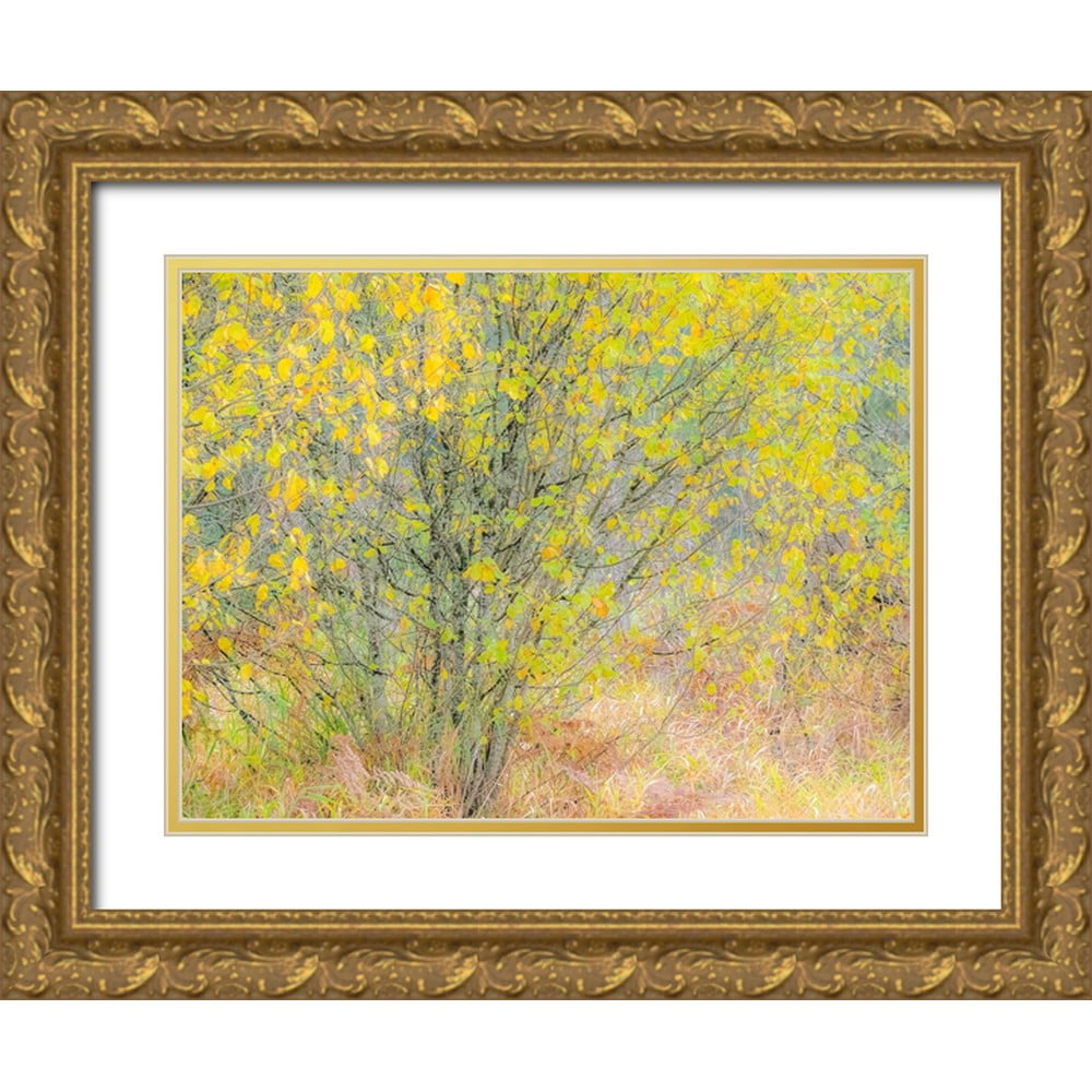 Gulin, Sylvia 18x15 Gold Ornate Wood Framed with Double Matting Museum Art Print Titled - USA ...