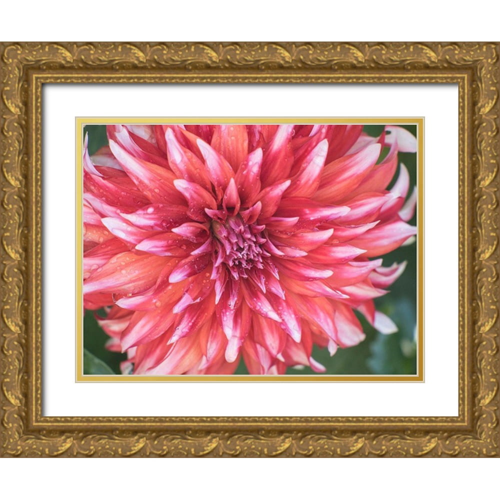 Gulin, Sylvia 18x15 Gold Ornate Wood Framed with Double Matting Museum ...