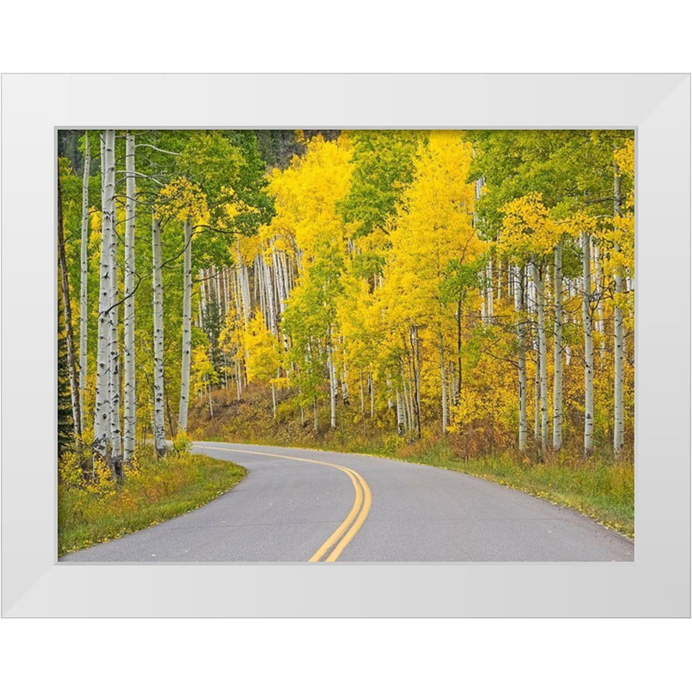 Gulin, Sylvia 18x15 White Modern Wood Framed Museum Art Print Titled ...